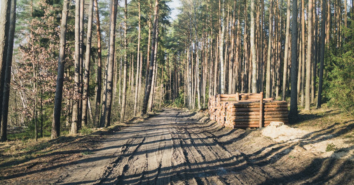 How to Delete Roblox Logs: Boost Your Gaming Experience Today - Family ...